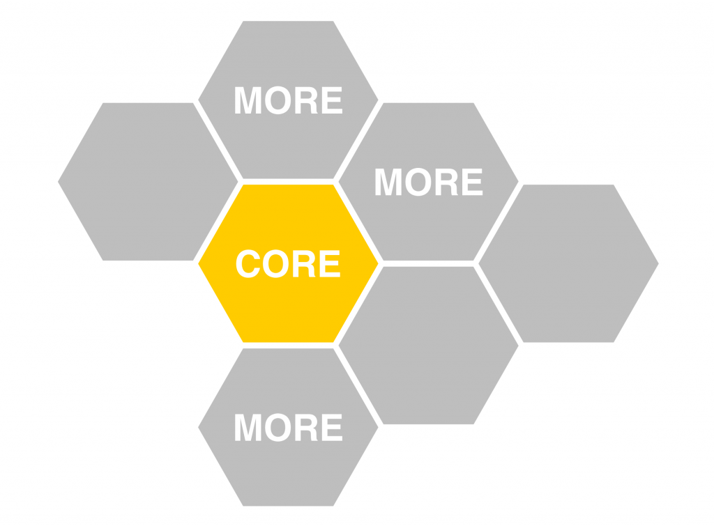 Core & More in practice - Accountancy Europe